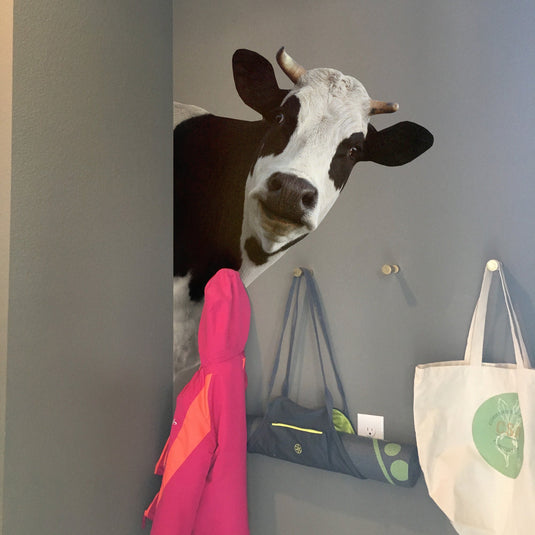 Wall Decal Stickers | Peel and Stick Wallpaper Murals | Stickerbrand ...